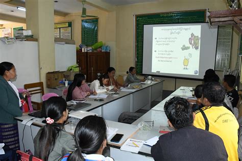 ကျောက်ဆည်မြို့တွင် သီနှံများ ပန်းတိုင်အထွက်နှုန်းရရှိရေးနှင့် အယ