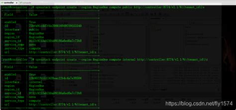 五openstack M版 双节点搭建 Nova安装和配置设置openstack服务开机启动 Csdn博客
