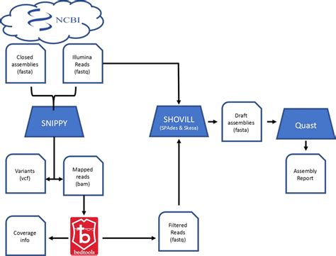 Diagram Illustrating The Sequence Of Steps And Software Involved In Download Scientific Diagram