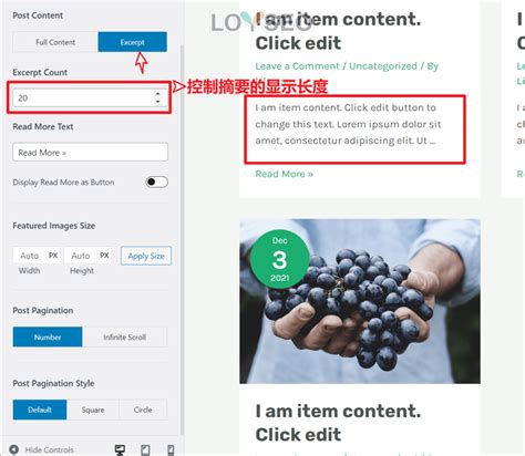 WordPress建站实例教程1零基础用Astra主题做外贸企业独立站 2024 LOYSEO