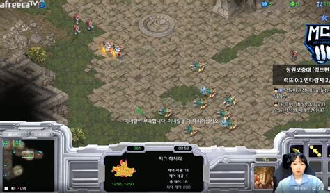 럭뜨 뭐하냐 스타크래프트 에펨코리아