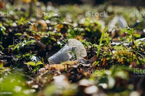 봄 숲에있는 플라스틱 컵 자연의 플라스틱 쓰레기 쓰레기가있는 봄 숲 생태 재앙 쓰레기로 인한 환경 오염 0명에 대한 스톡 사진 및 기타 이미지 Istock
