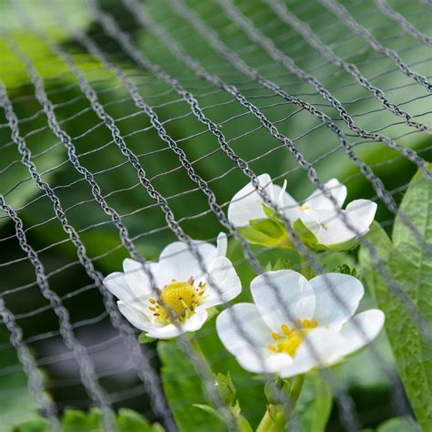 10 X Vogelschutznetz Schwarz Teichnetz Schutznetz Obstbaumnetz Laubnetz