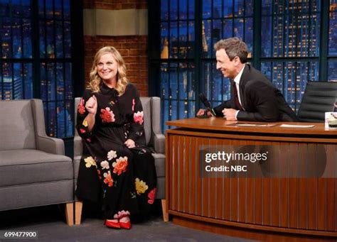 154 Actresscomedian Amy Poehler Photos And High Res Pictures Getty Images