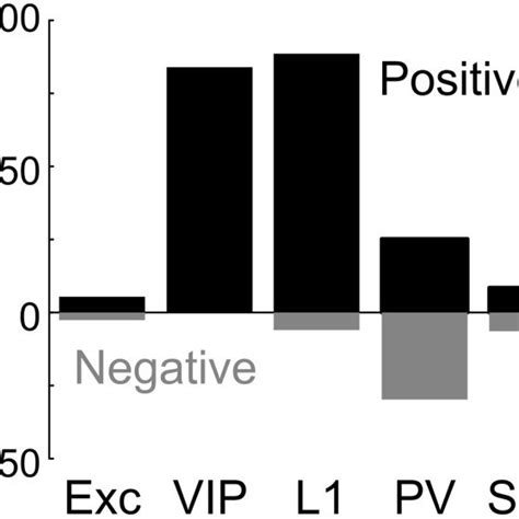 Basal Forebrain Modulation Of Excitatory And Inhibitory Cortical