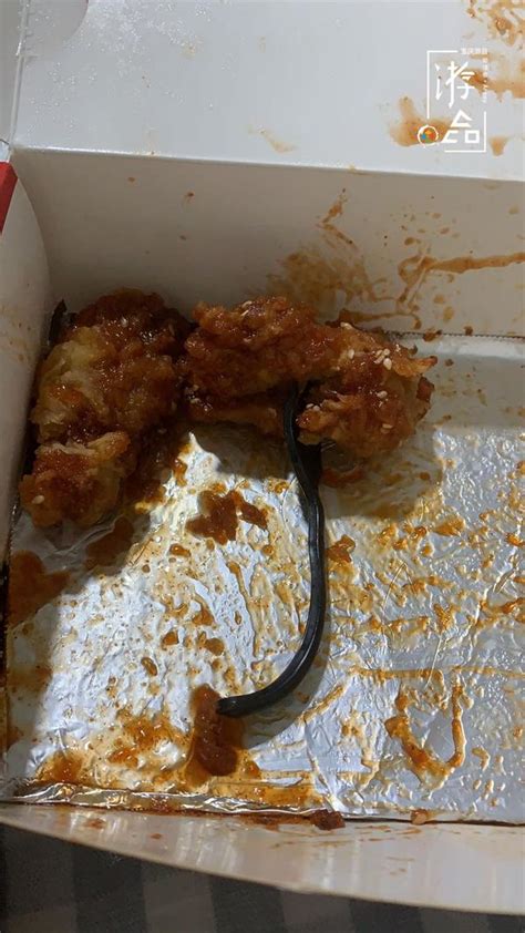 重庆游品 的想法 昨天晚上点了一份炸鸡的外卖但是分量太多剩了一点没吃完今天中午打算把它解决了于是就把整个盒子放进微波炉里加热过了一