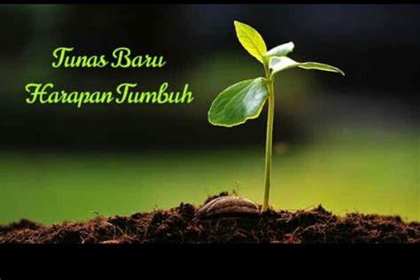 Tunas Baru Harapan Tumbuh