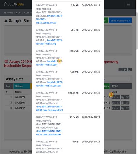 igv opening session and files — sodar 1 0 1 documentation