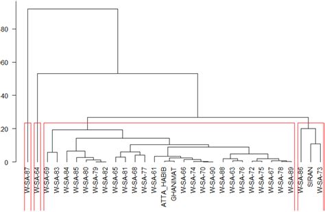 Dendrogram For Exotic Wheat Lines Made Through Cluster Analyses On