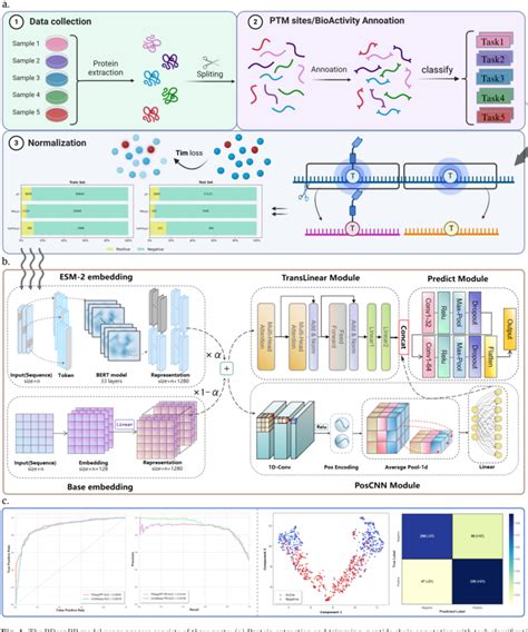 论文审查 Pdeepppa Deep Learning Framework With Pretrained Protein