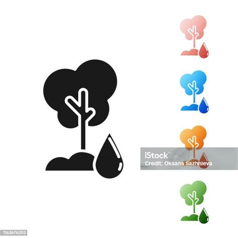 Icône Noire Darbre Darrosage Disolement Sur Le Fond Blanc Symbole De