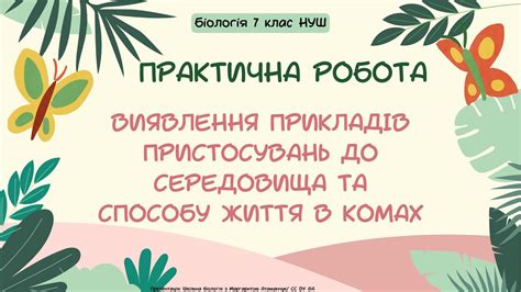 Біологія 7 клас НУШ Практична робота Виявлення прикладів пристосувань у