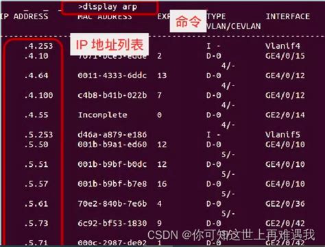 几种查询局域网内在线弱电设备ip地址的方法，总有一款你用的到扫描局域网所有ip命令 Csdn博客