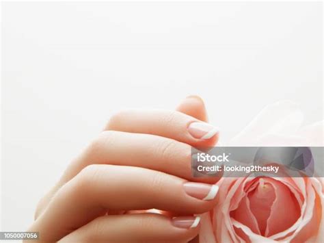 매니큐어 손 스파 아름 다운 여자 손 부드러운 피부 분홍색 장미 꽃 꽃잎과 아름 다운 손톱 건강 한 여자 손입니다 뷰티 살롱입니다 미용 치료입니다 아름 다운 프랑스