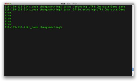 程式語言教學誌 fb youtube pydoing java 快速導覽 character 類別
