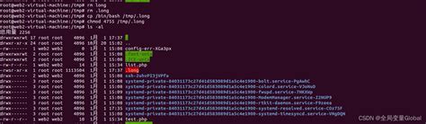 Linux权限维持之suid后门、ssh后门ssh后面 Csdn博客