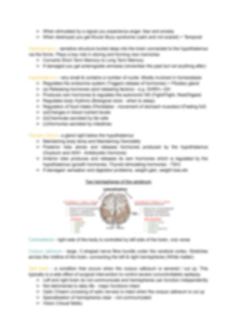 SOLUTION Bmd121 Lecture 4 Neurophysiology Ii Central Nervous System Studypool