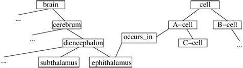 Concept Classification Hierarchies Download Scientific Diagram