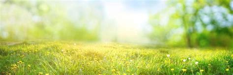 Dr Chris Friesen Ph D C Psych Cmpc On Linkedin Careers