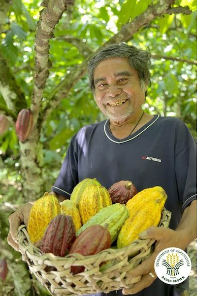Paquibato Farmer Is Finalist In 2019 International Cocoa Awards In Paris