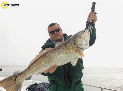 One Call Concepts Inc Is A One Call Concepts Inc