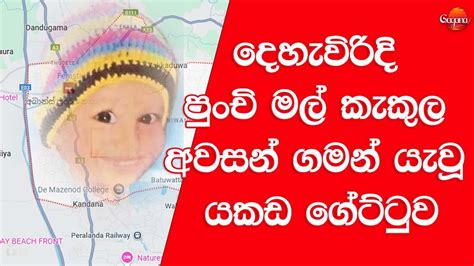දෙහැවිරිදි පුංචි මල් කැකුල අවසන් ගමන් යැවූ යකඩ ගේට්ටුව Youtube