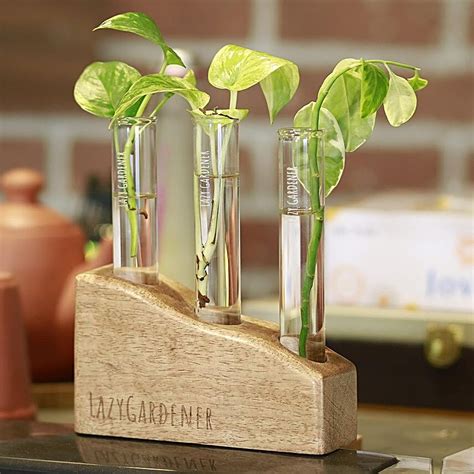 Buysend Lazy Gardener Mango Wood Planter Online Fnp