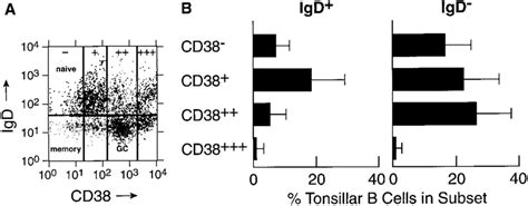 Subsets Of B Cells From Multiple Tonsils Characterized By Expression Of Download Scientific
