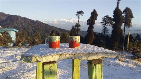 A forest village in Darjeeling চটকপরর জঙগল Himalayan Lover