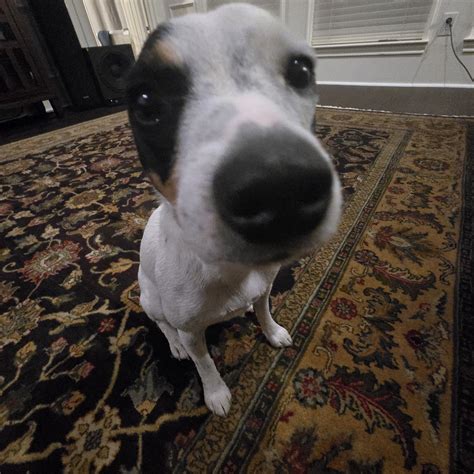 Talkie Profile Mha Beach Talkie Ai