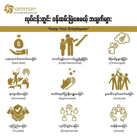 Hr Knowledge Base Ammon Hr Outsourcing Services