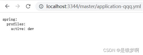 【springcloud开发教程】spring Cloud Config——分布式配置springcloud Config 查看配置 Csdn博客
