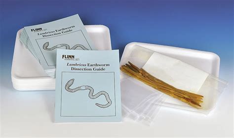 Earthworm Classroom Dissection Kit Flinn Scientific