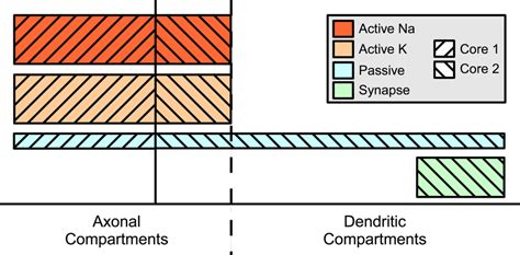 Compartment Level Parallelization Solid Line Separates The Two Sets Of