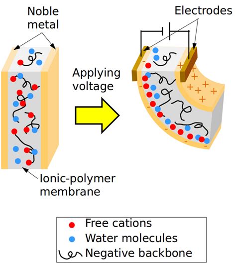 Chemistry Ionic Polymer Metal Composites Handwiki