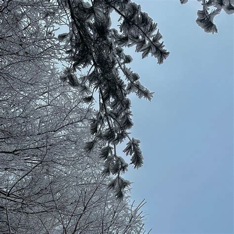 비유적으로 이르는 말 모음 8