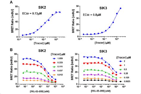 Highthroughput Implementation Of The Nanobret Target Engagement