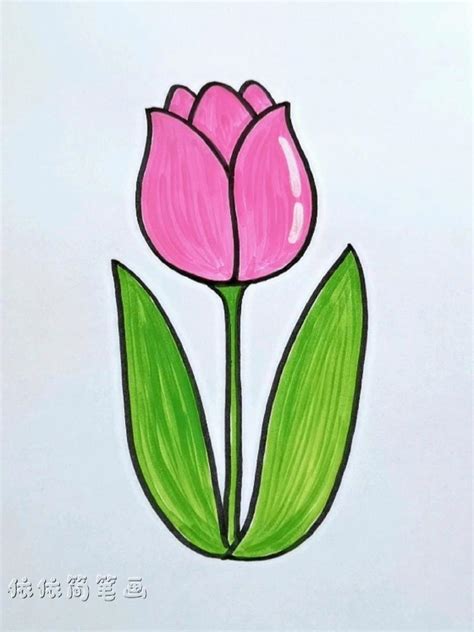 花怎么画简单漂亮简笔画图文（流行13张） 简笔画图片大全