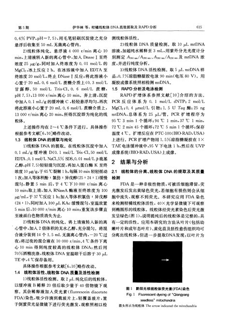 柑橘线粒体DNA高效提取及RAPD分析 word文档在线阅读与下载 免费文档