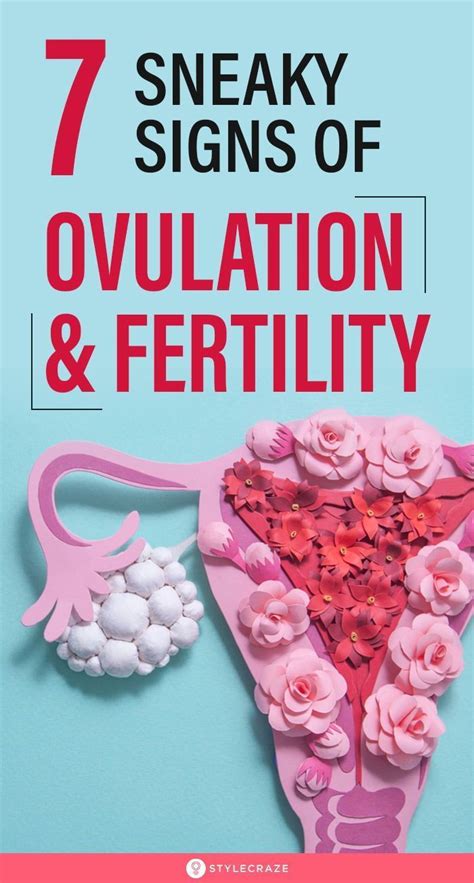 7 Sneaky Signs Of Ovulation And Fertility Beyond Feeling Needy