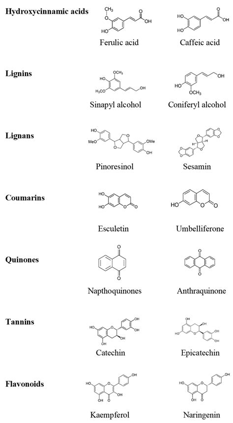 Plant Phenolics In Abiotic Stress Tolerance Encyclopedia Mdpi