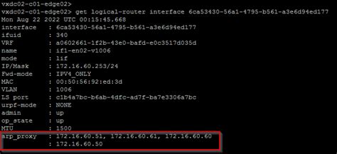 Nsx 40 Proxy Arp Support On Activeactive Tier 0 Gateway Vxplanet