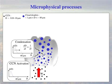 Ppt Parameterization Of Precipitation In Boundary Layer Clouds At The