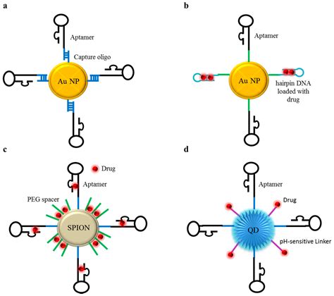 Pharmaceuticals Free Full Text Aptamer Mediated Targeted Delivery