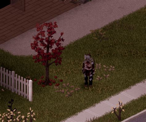 First Time Surviving To Fall And Learned The Leaves Drop R Projectzomboid