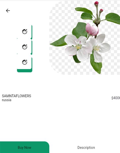 Github Norayehia Flowers Shop Flutter Using Flutter Help People Who