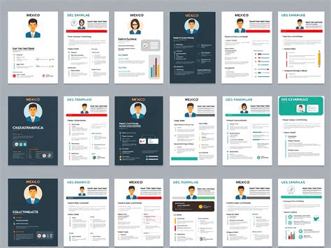 Modelos De Currículum Para Profesionales Y Recién Graduados En México