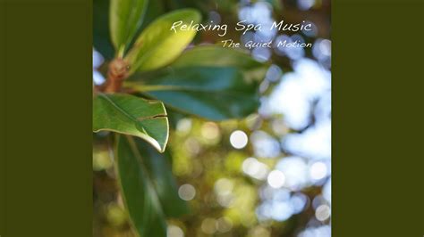 Constant Space Youtube