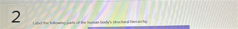 Solved Label The Following Parts Of The Human Bodies