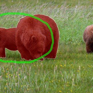Challenging Images Containing Object Groups From UserContours G